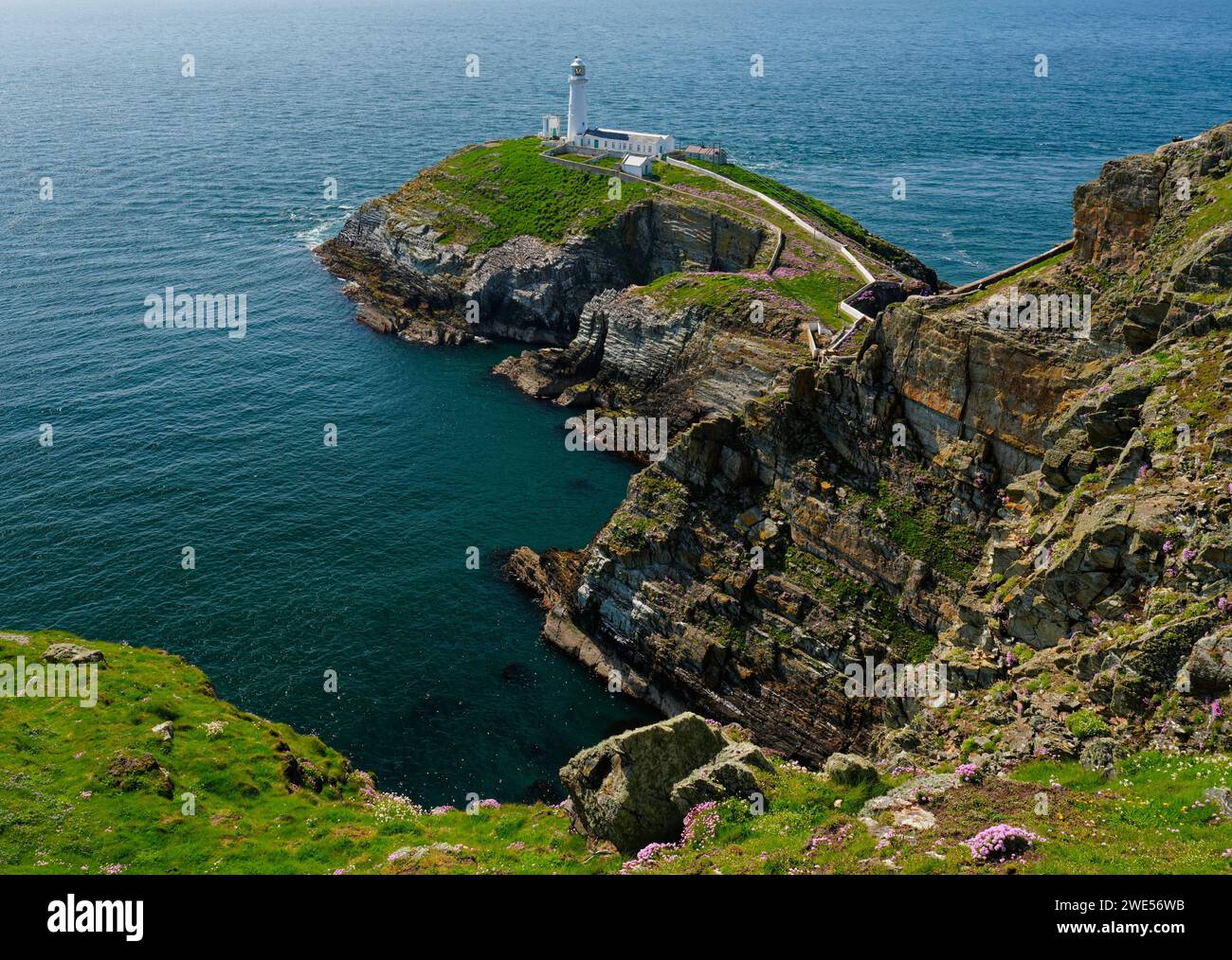 Great Britain, North West Wales, Anglesey Island, South Stack ...