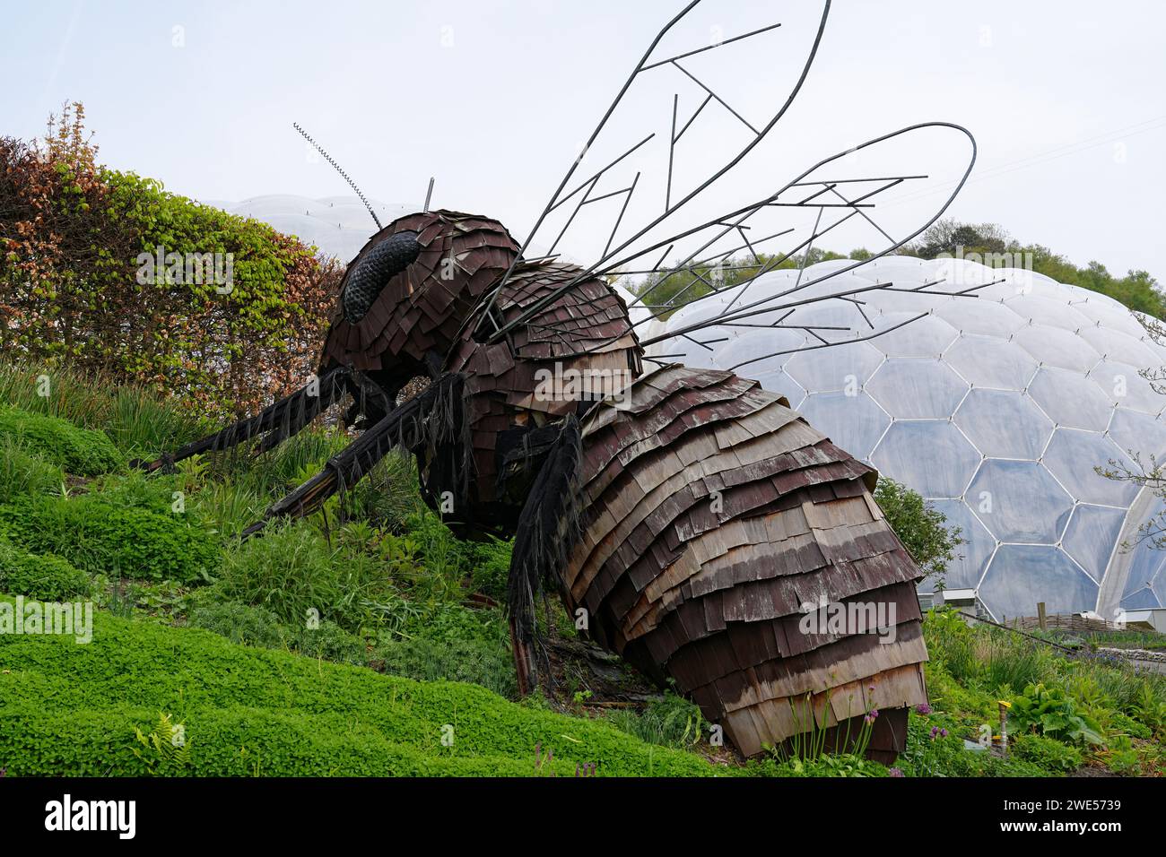 England, County Cornwall, Eden Project, botanical gardens Stock Photo ...