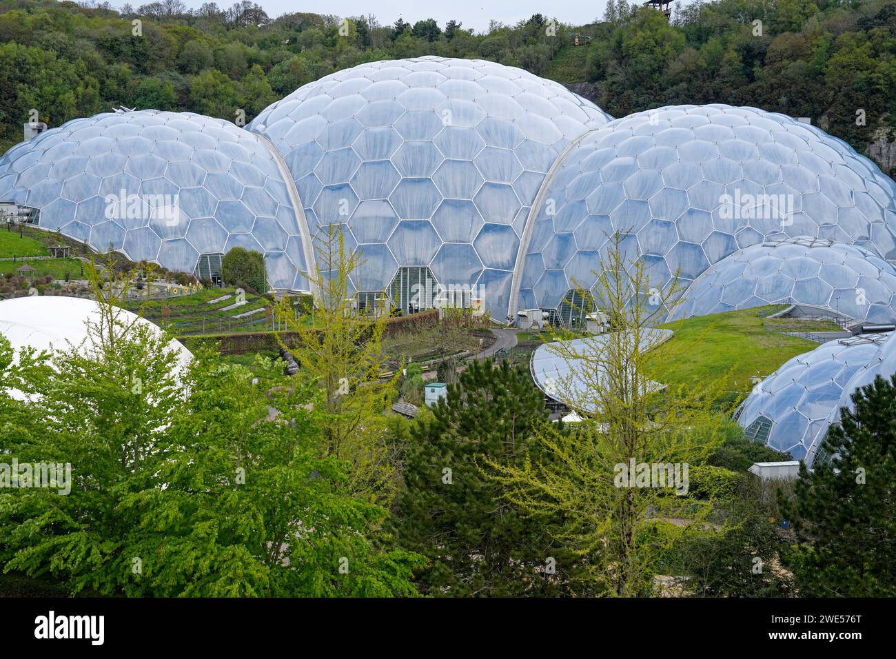 England, County Cornwall, Eden Project, botanical gardens Stock Photo ...