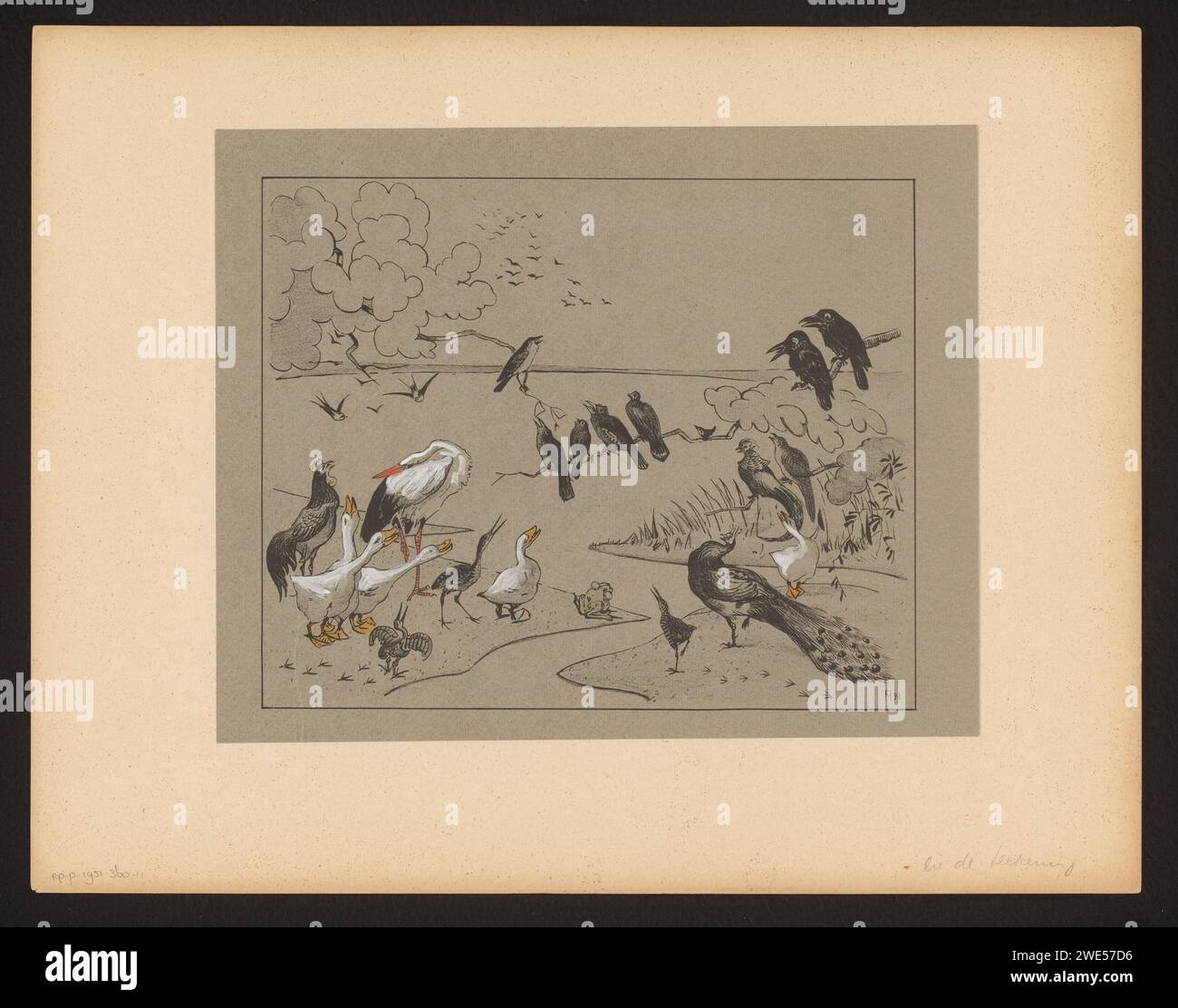 Group various birds and a frog, Theo van Hoytema, 1892 print Among ...