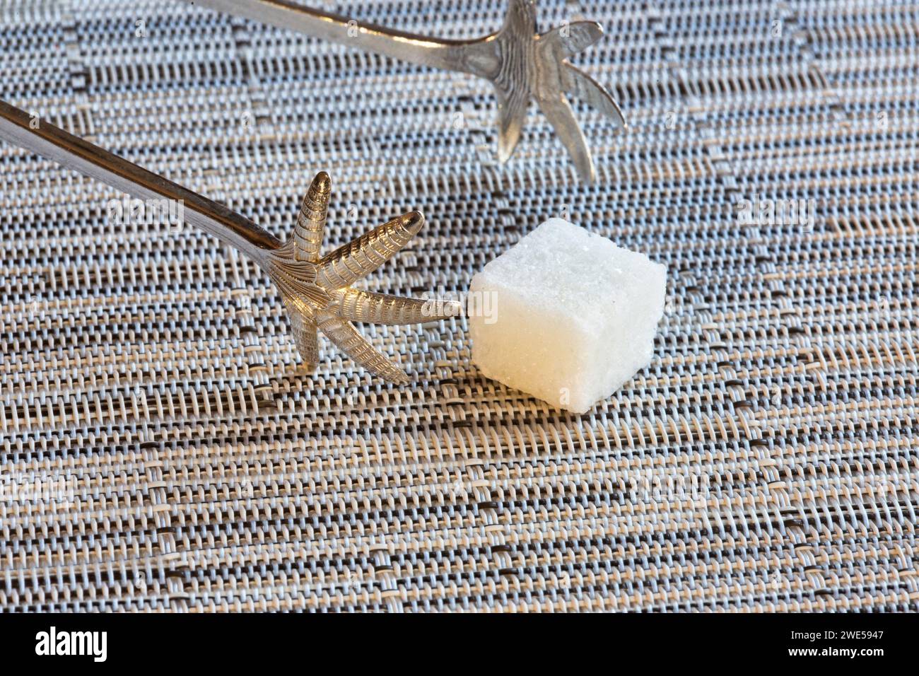 Sterling silver tongs are used in a formal afternoon tea with sugar ...