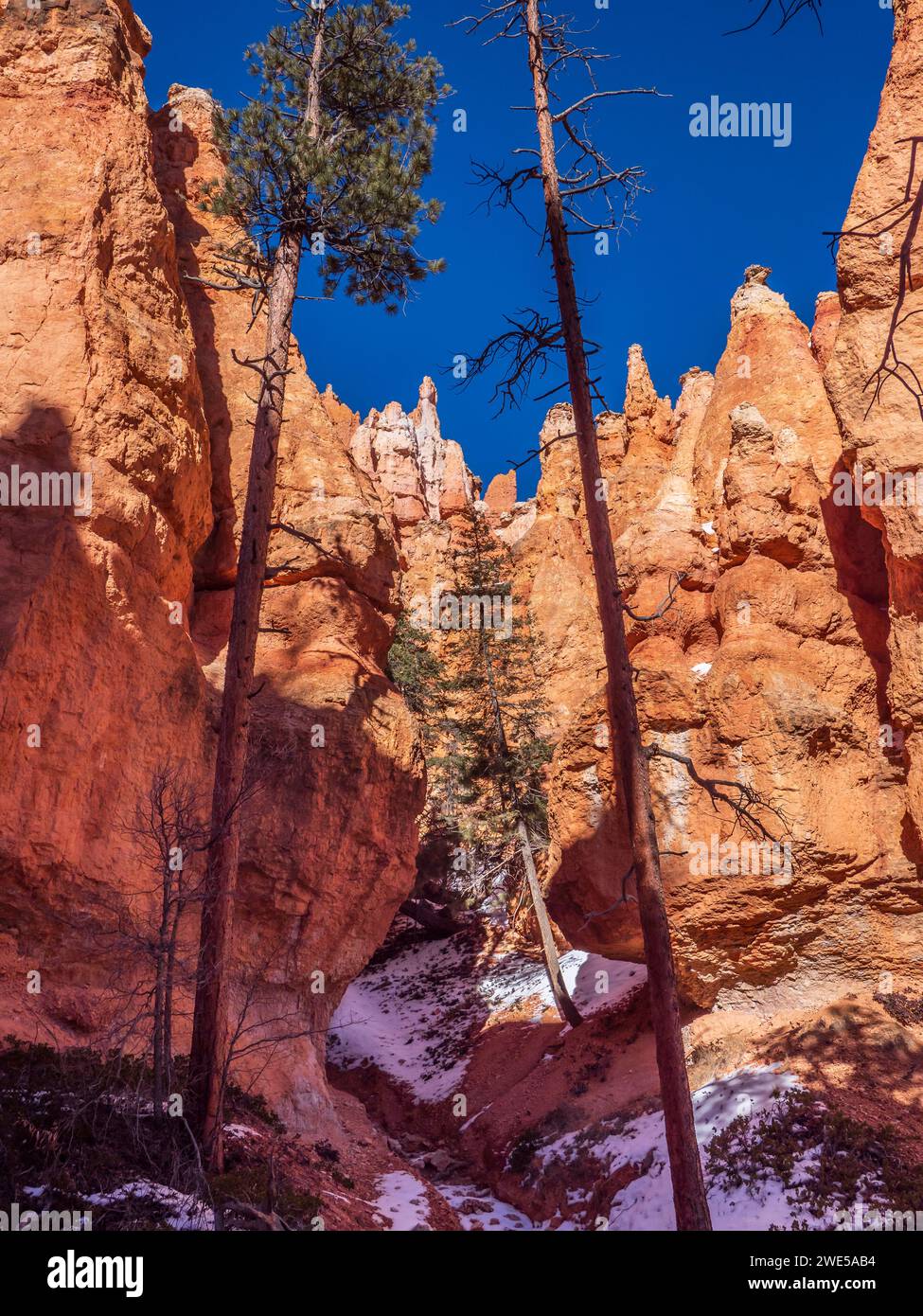 Bryce Amphitheater from the Navajo Loop Trail, winter, Bryce Canyon ...