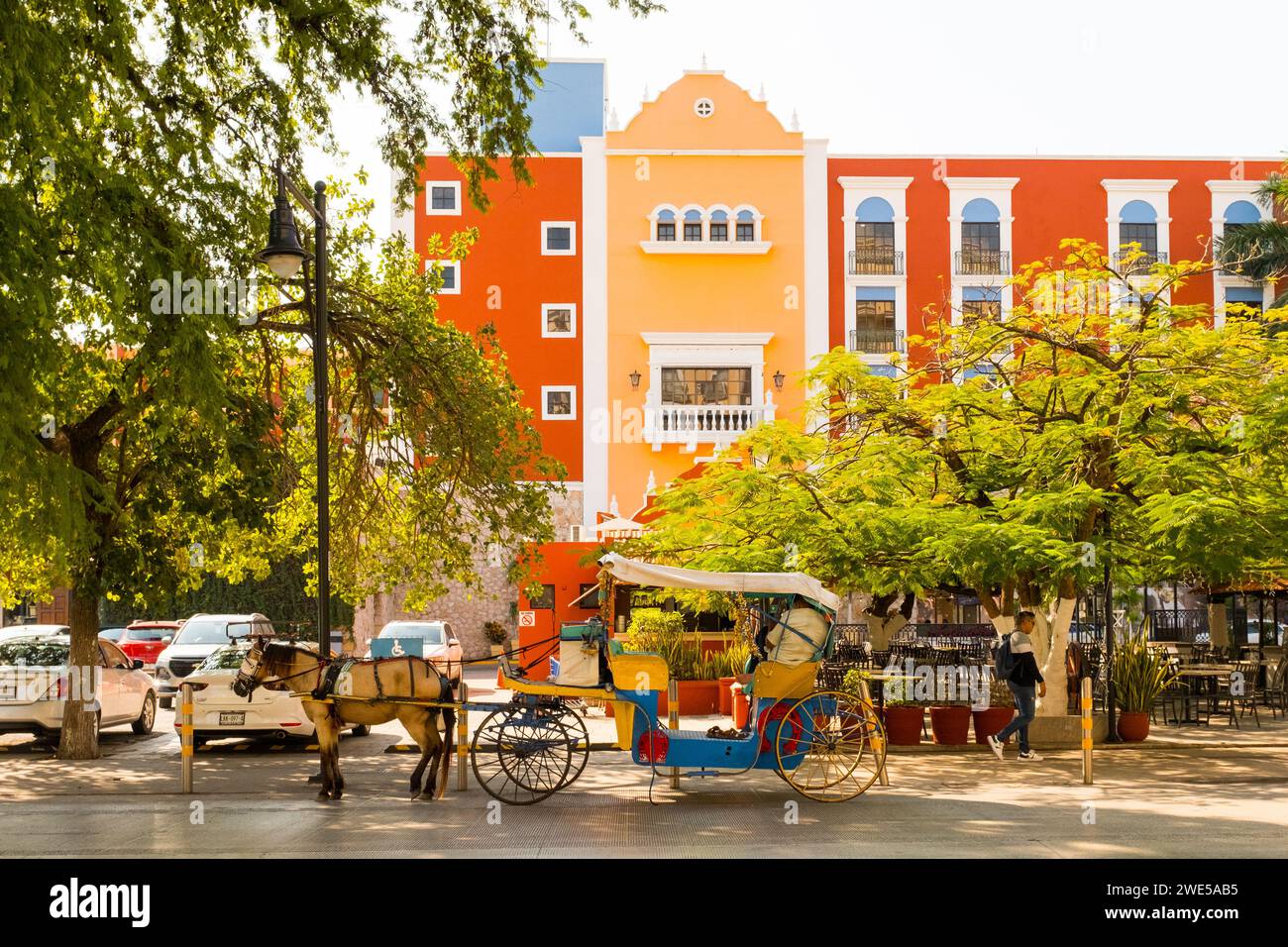 Horse carriage in the Hotel zone, Merida Yucatan Mexico Stock Photo - Alamy