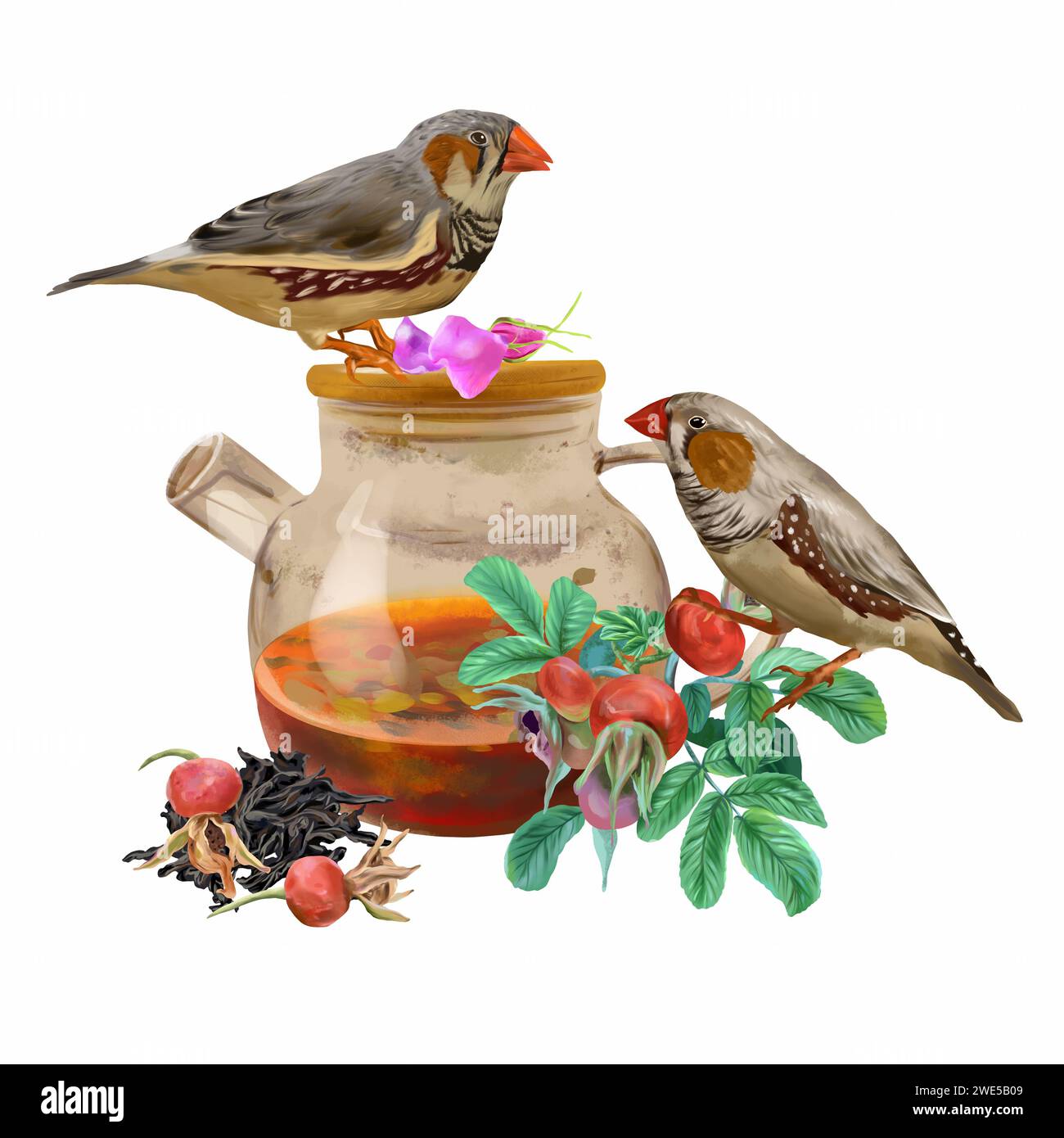 Teapot, rose hips, dry tea leaves, birds, petals. Graphic illustration ...