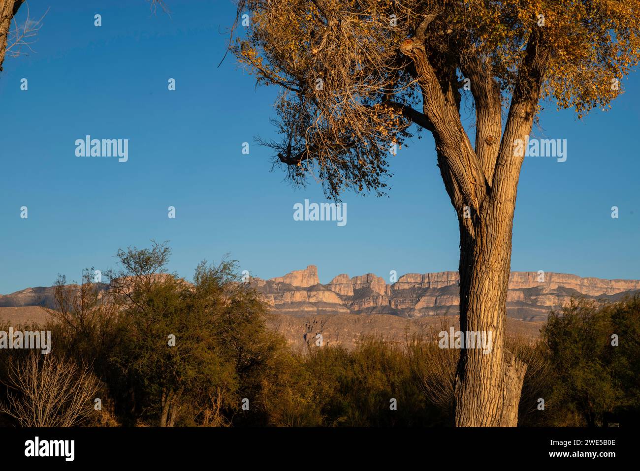 Sunset, Sierra del Carmen Mountains; Rio Grande Village Campground. Big ...