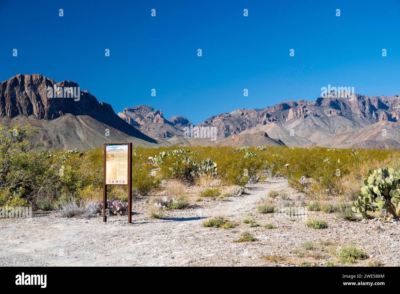 Views along the Chihuahua Desert Trail exhibit at Dugout Wells, Big ...