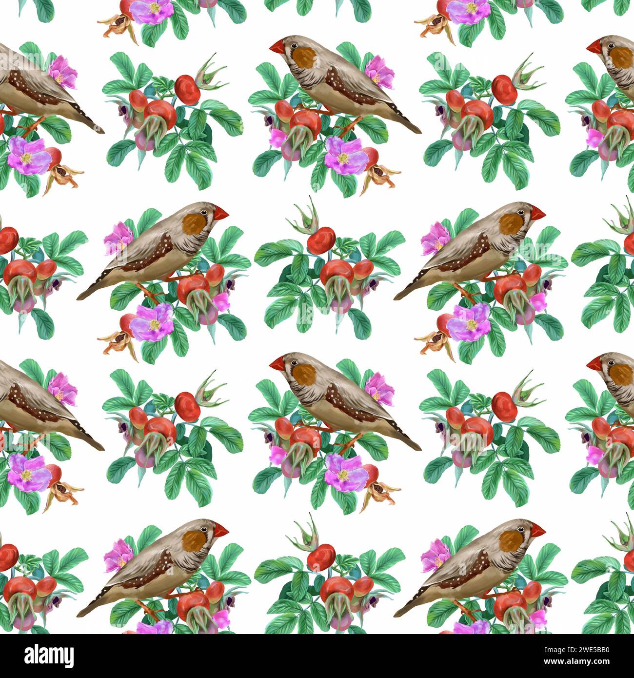 Rose hips bird Cut Out Stock Images & Pictures - Alamy