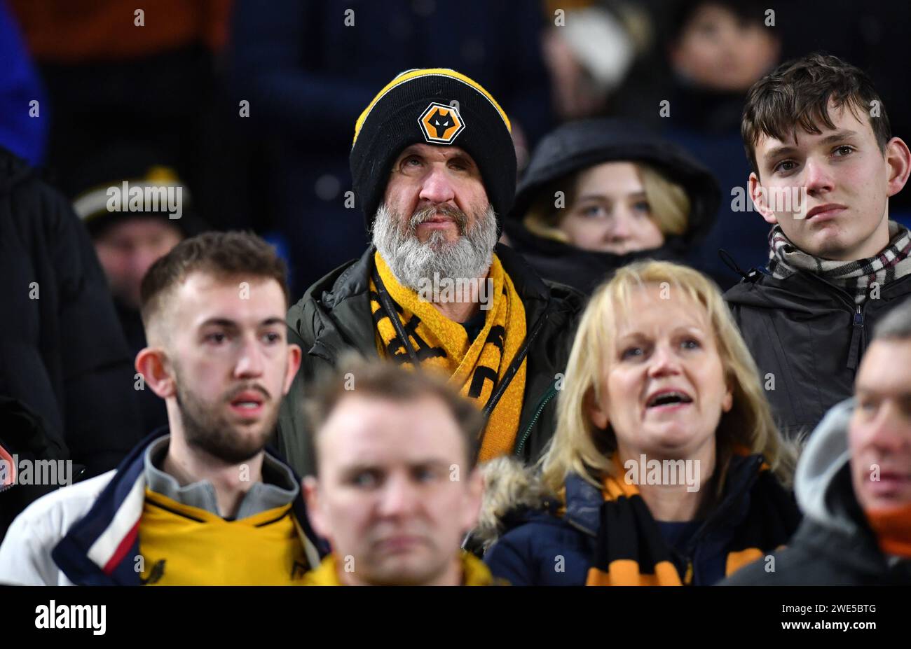 Woolly wolves hi-res stock photography and images - Alamy