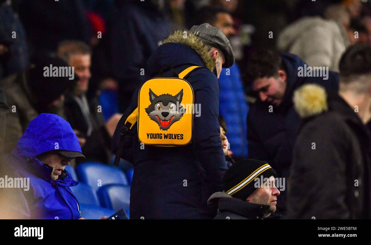 Wolves fans during the Premier League match between Brighton and Hove ...