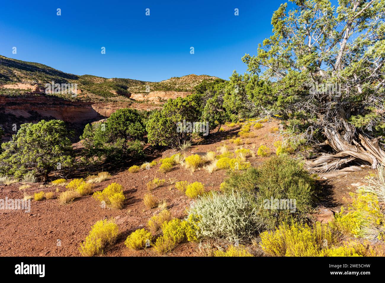 Monumnetas and Canyons as viewed off of Rim Rock Drive in Colorado ...