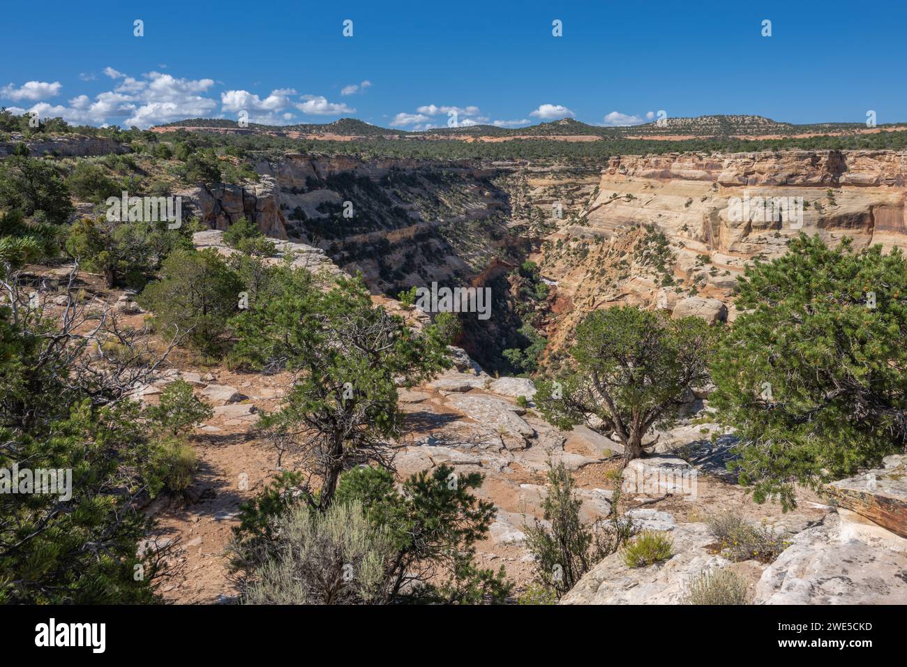 Monumnetas and Canyons as viewed off of Rim Rock Drive in Colorado ...