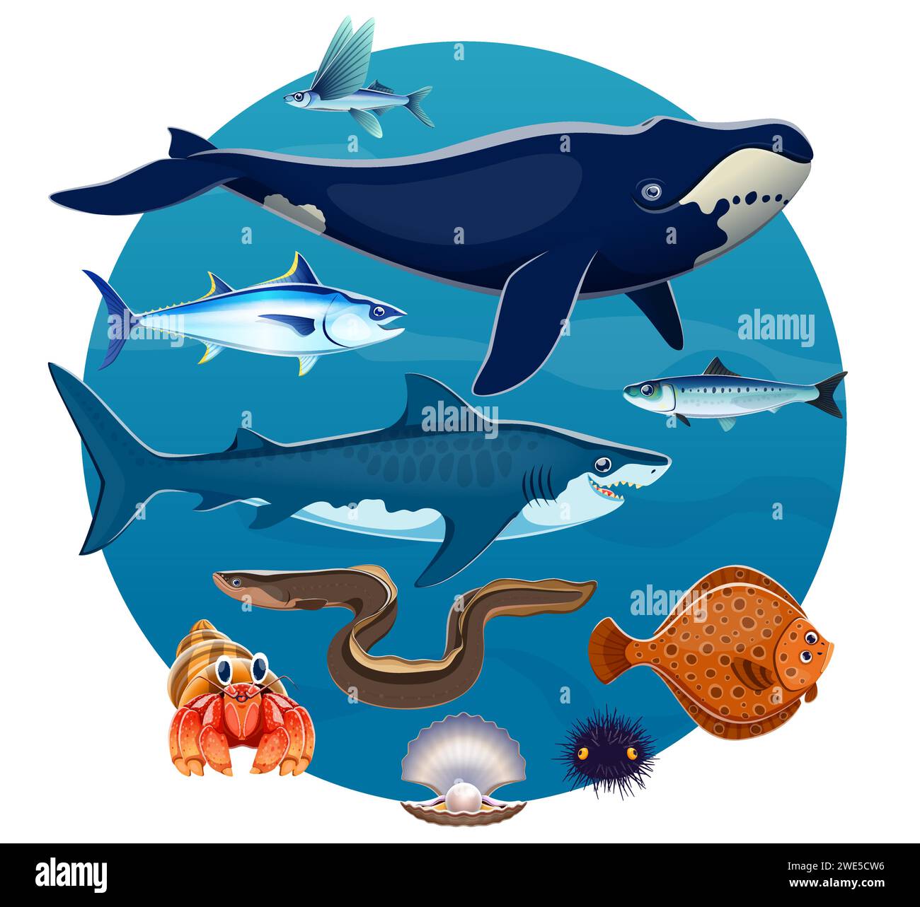 Cartoon sea animals and fishes of ocean world with big whale, shark and ...