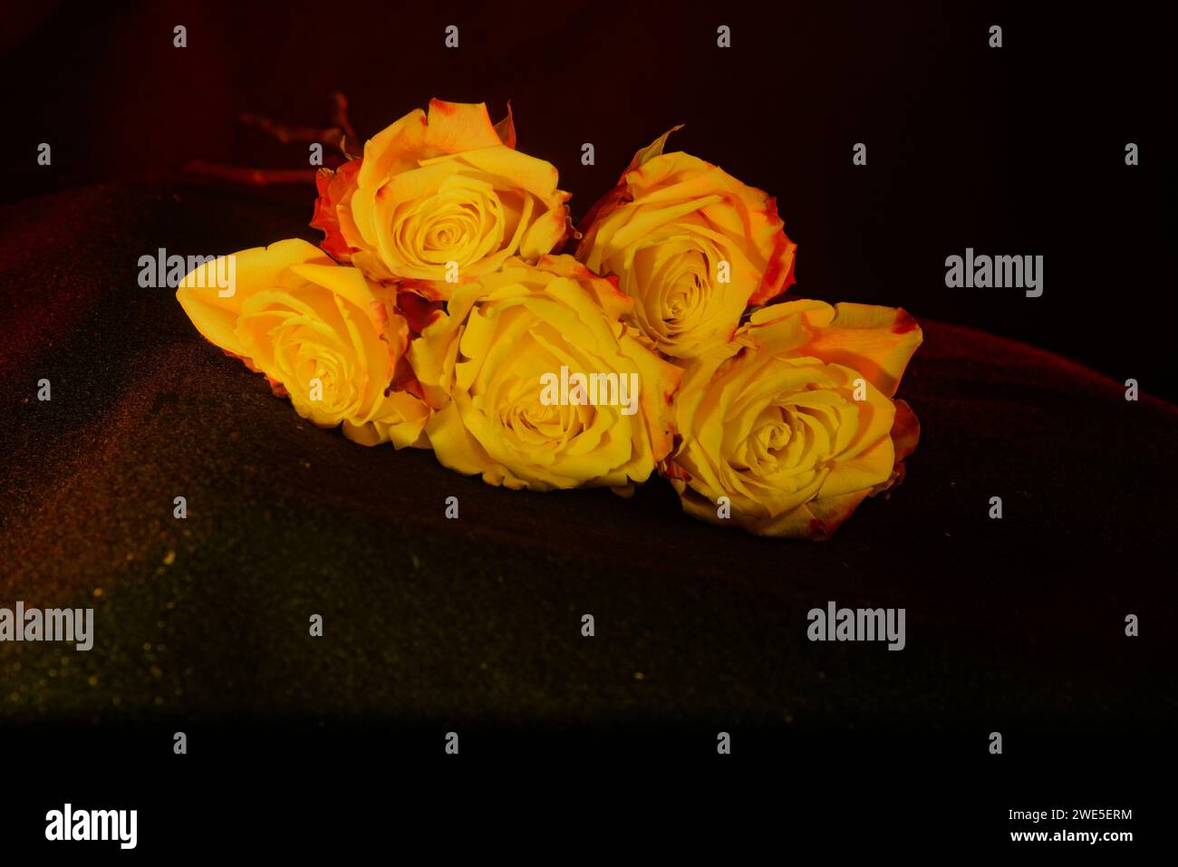 Conveys sweetness hi-res stock photography and images - Alamy