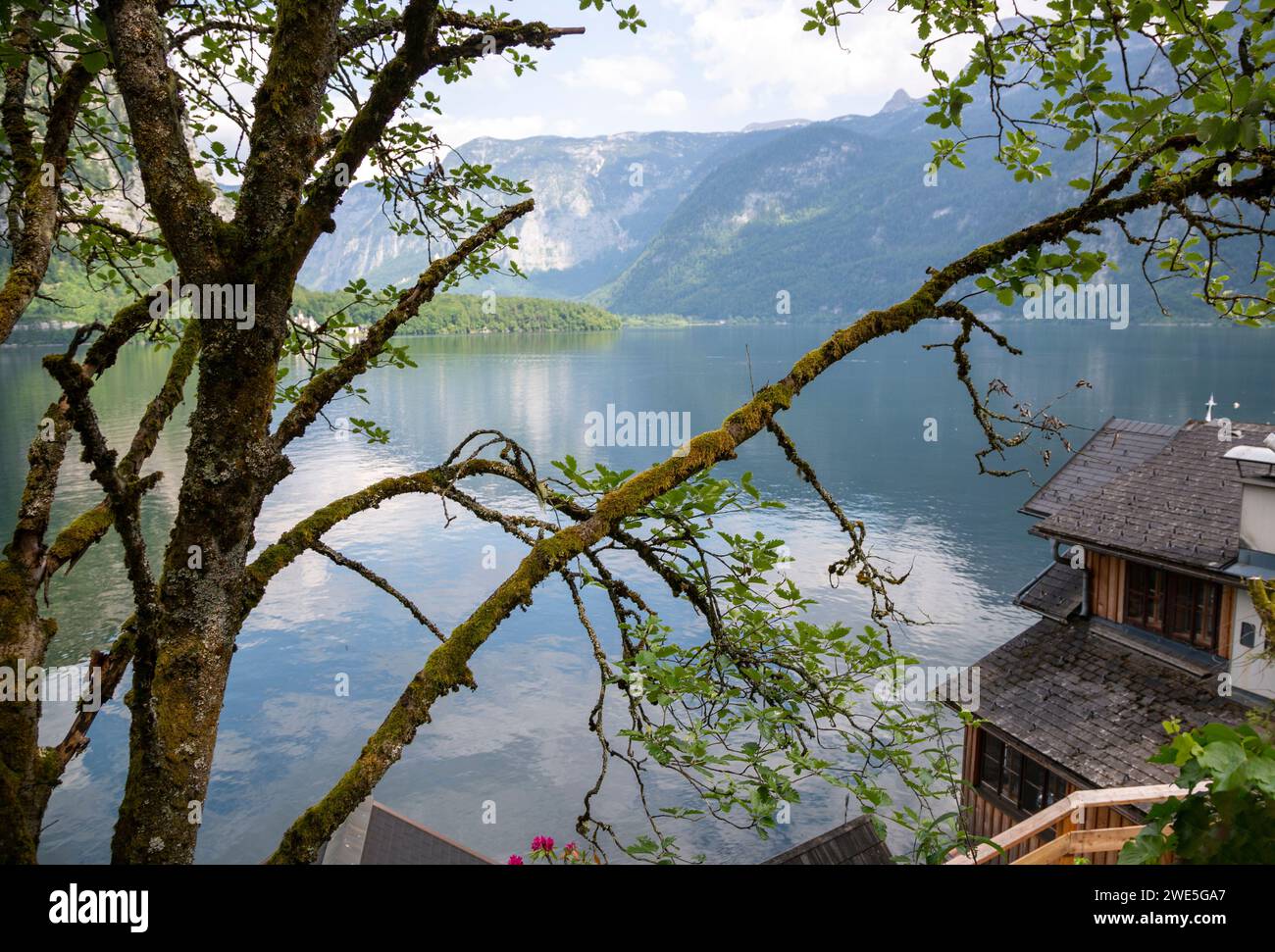 Lake Hallstattersee in Hallstatt Stock Photo - Alamy
