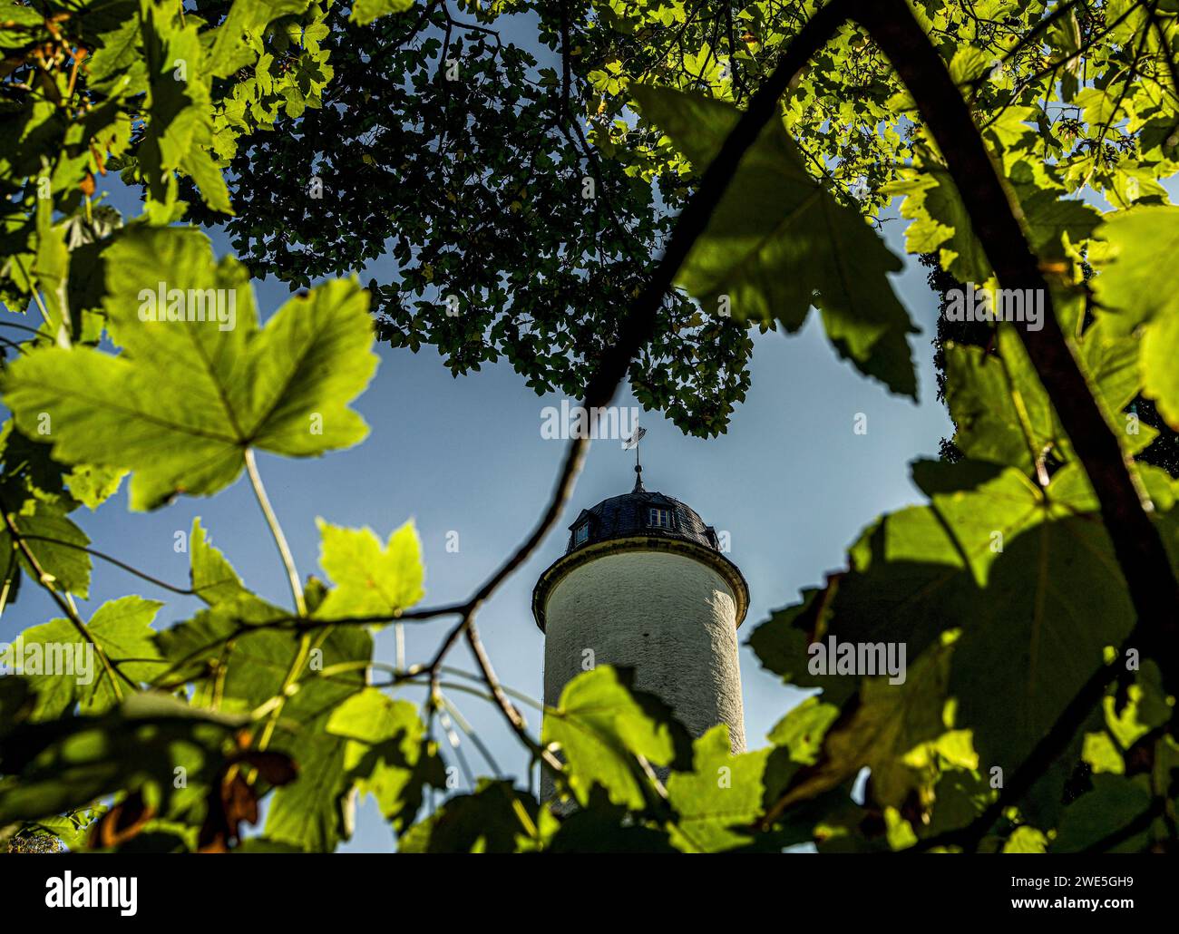 Tower of Rabenstein Castle, seen through the treetops of the park ...
