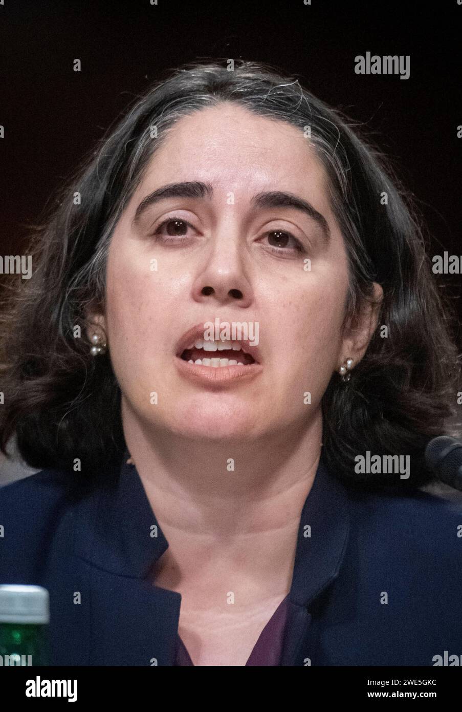 Washington, United States. 23rd Jan, 2024. Melissa Griffin Dalton ...