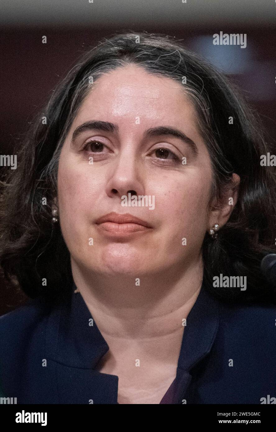 Washington, United States. 23rd Jan, 2024. Melissa Griffin Dalton ...