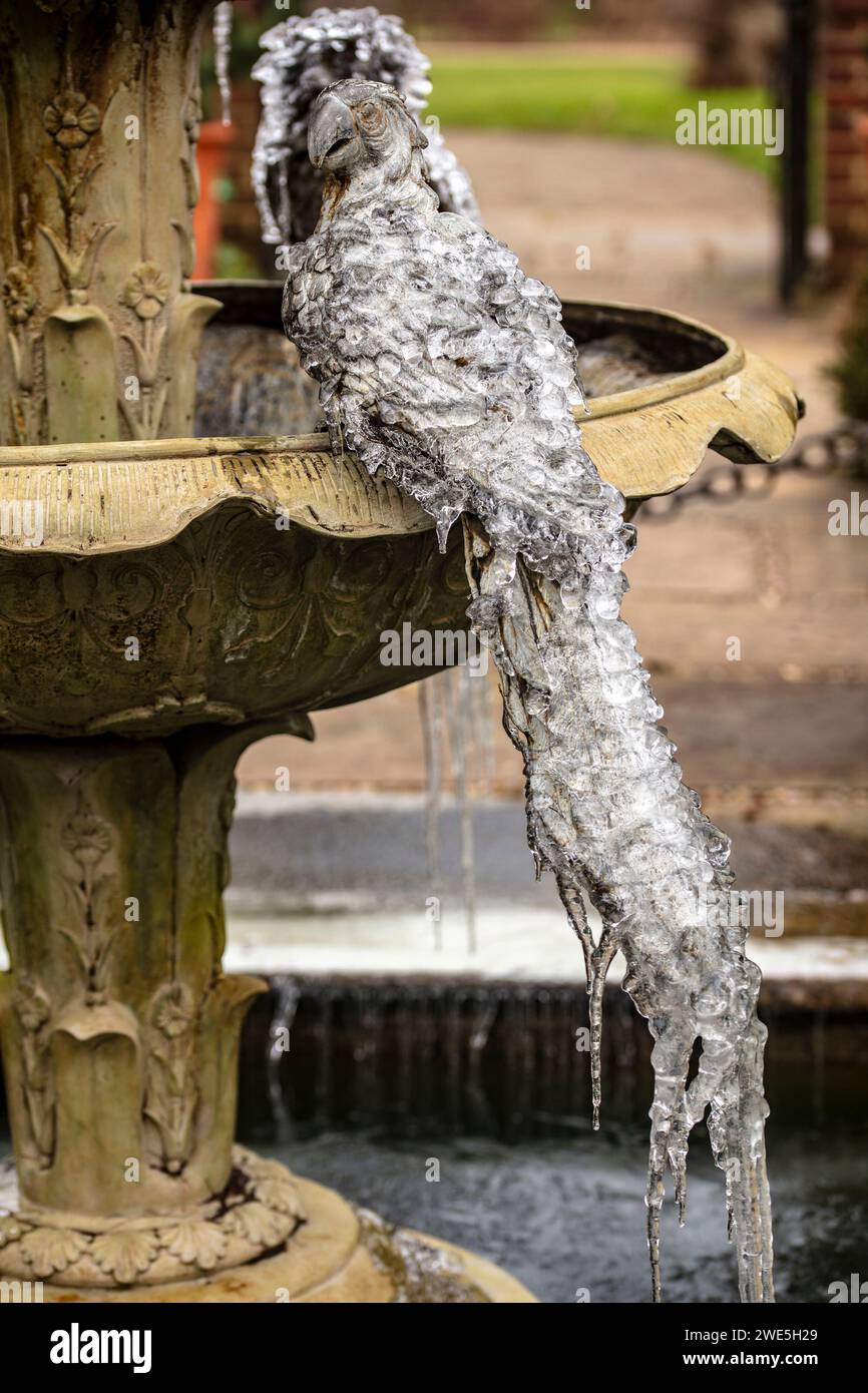 Frozen bird on fountain RHS Wisley in winter Stock Photo - Alamy
