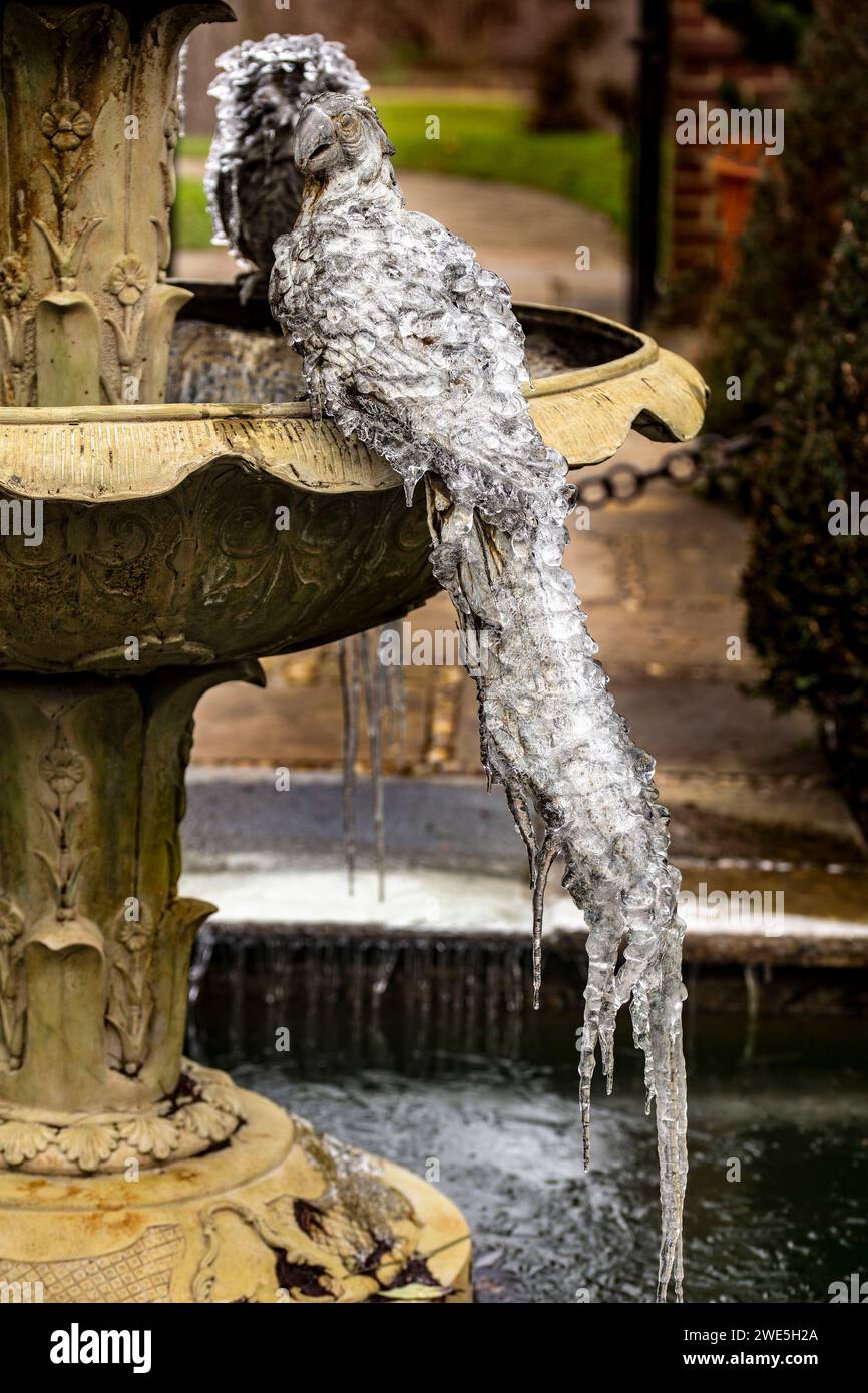 Frozen bird on fountain RHS Wisley in winter Stock Photo - Alamy