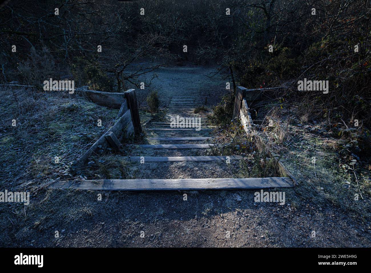 Intimate landscape view of the historically important Keston Common ...