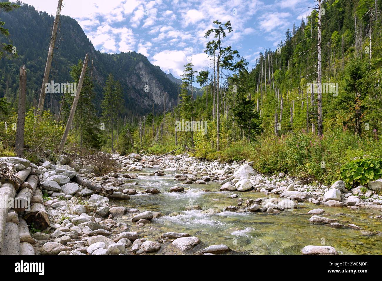 Watercourse of the Roztoka on the hiking trail to the Valley of the ...