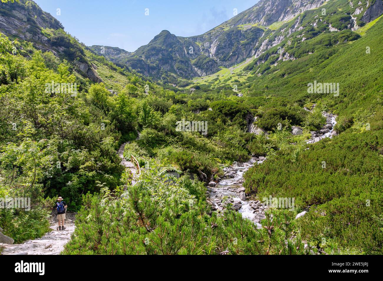 Hiking trail to the Valley of the Five Polish Ponds (Dolina Pięciu ...