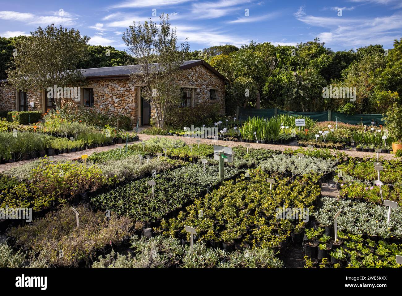 Grootbos private reserve hi-res stock photography and images - Alamy