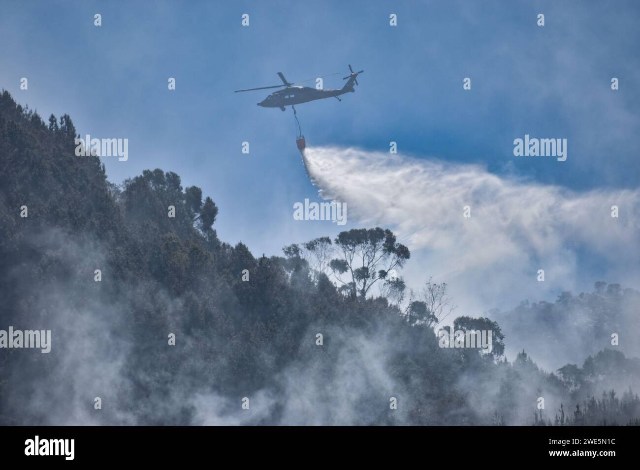 Bogota, Colombia. 23rd Jan, 2024. Colombia's firefighters and a ...