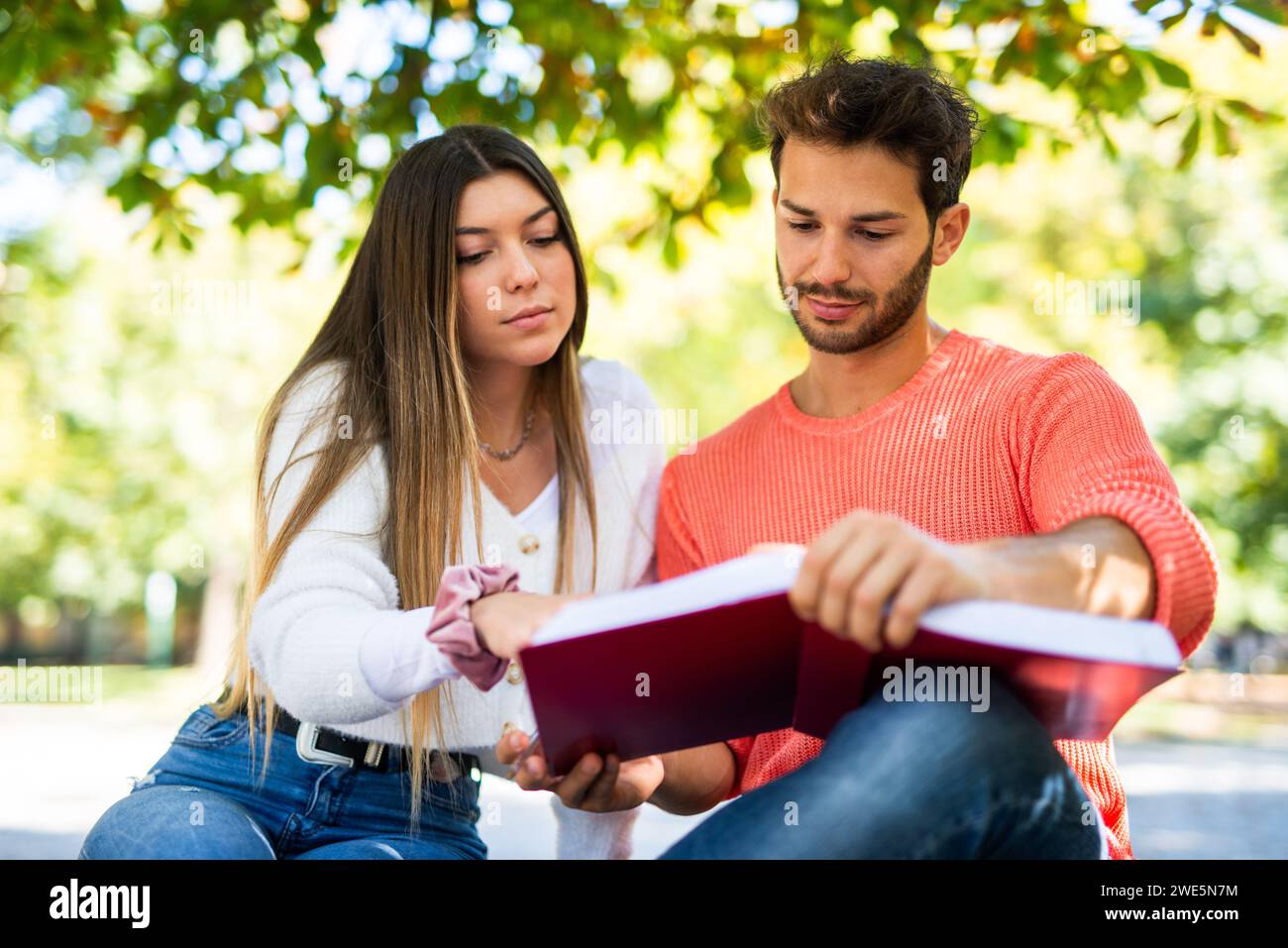 Two students studying together sitting on a bench outdoor Stock Photo ...