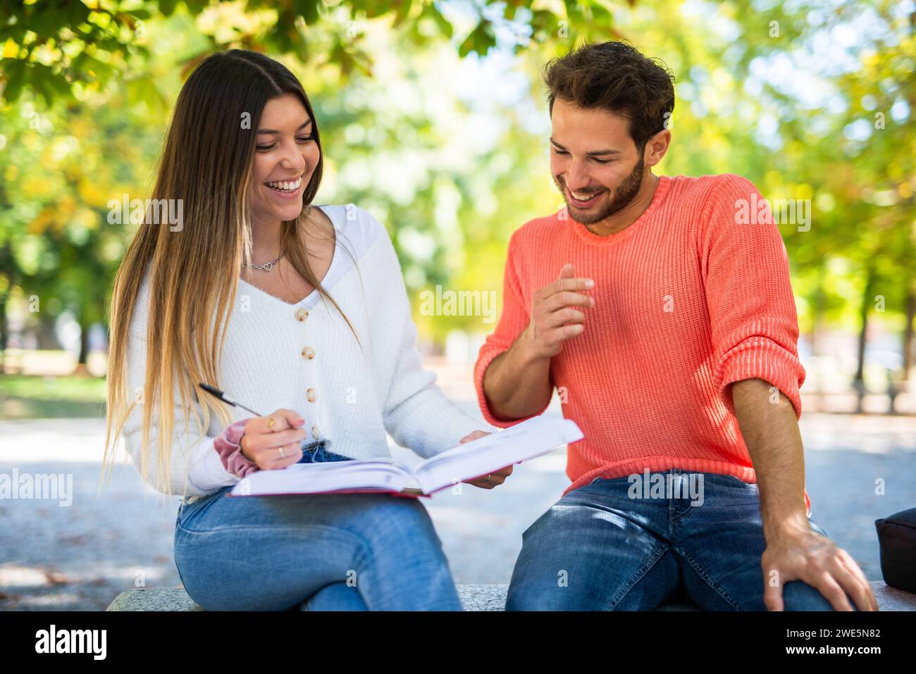 Two students studying together sitting on a bench outdoor Stock Photo ...