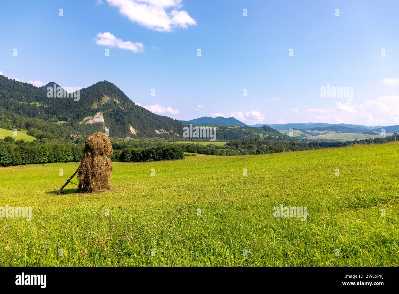 Landscape in the Dunajec Valley at the entrance to the Pieniny National ...