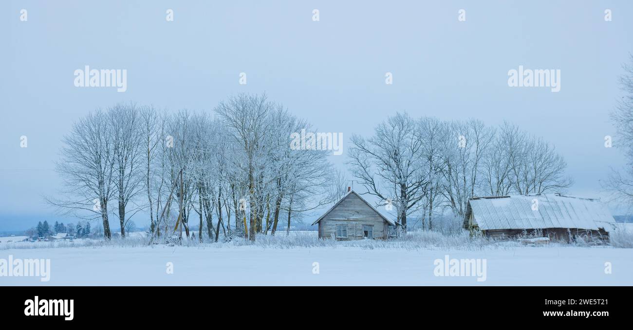 Cold winter background with frost covered forest with house Stock Photo ...