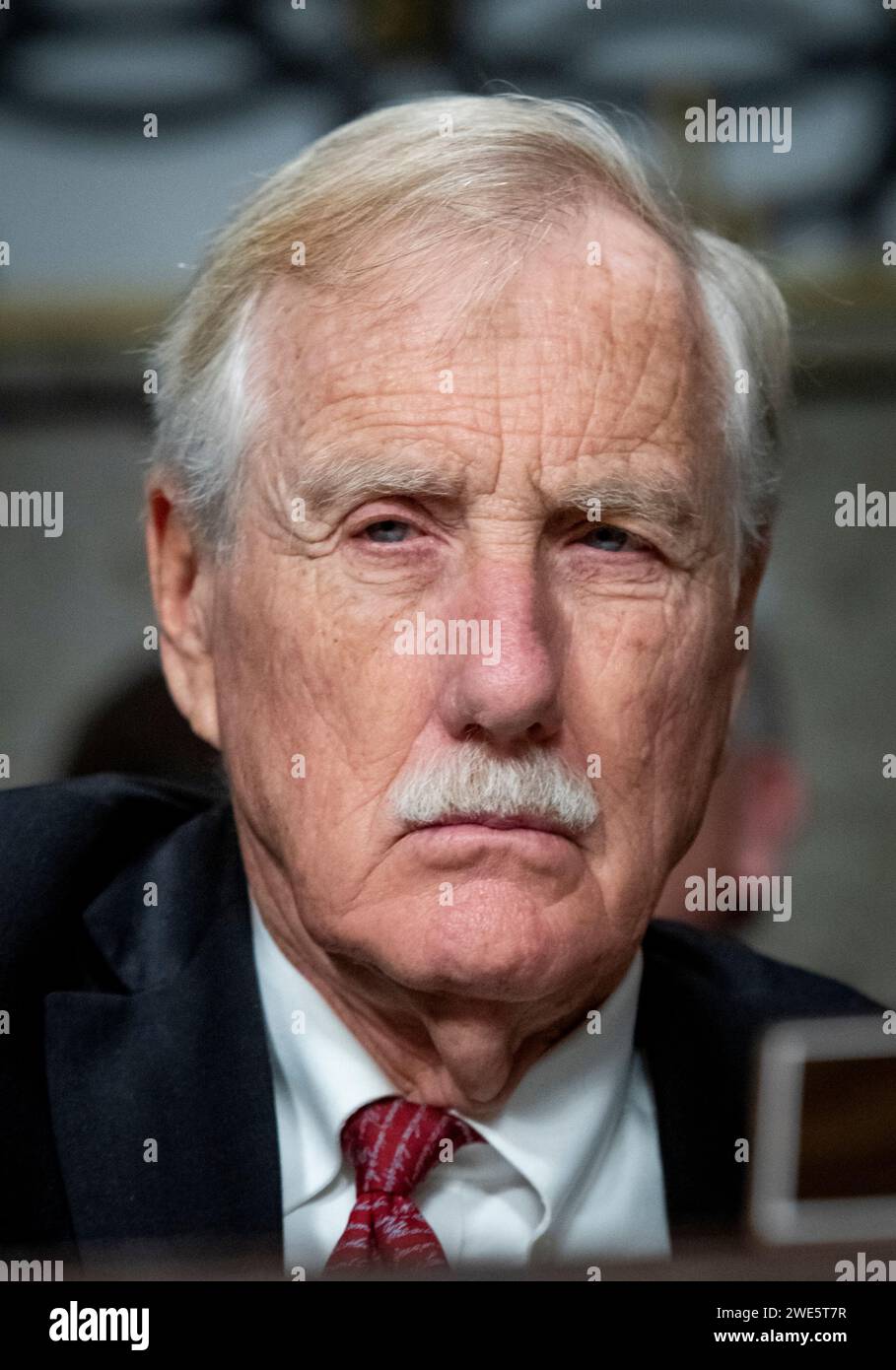 Angus king hi-res stock photography and images - Alamy