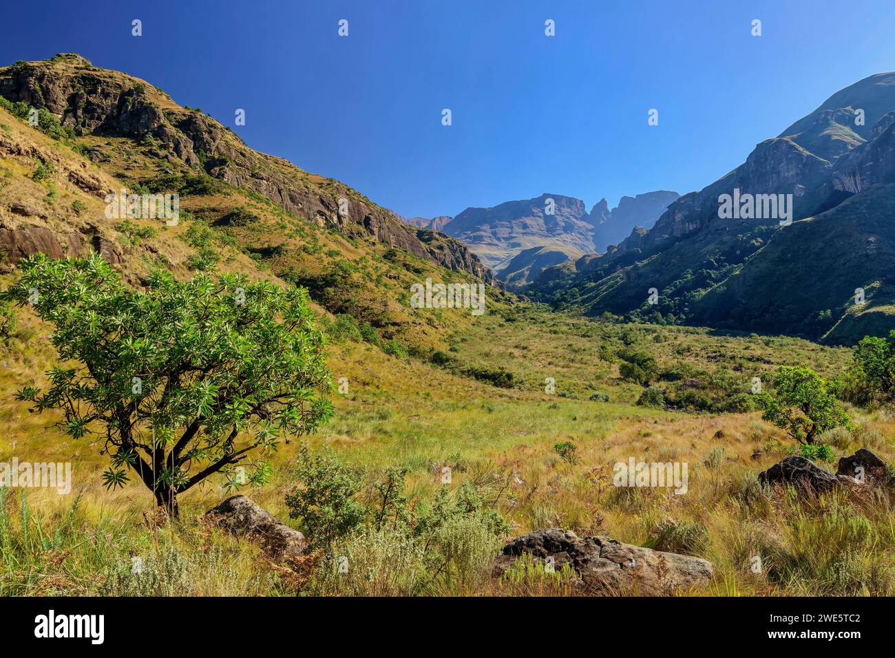 Champagne valley resort hi-res stock photography and images - Alamy