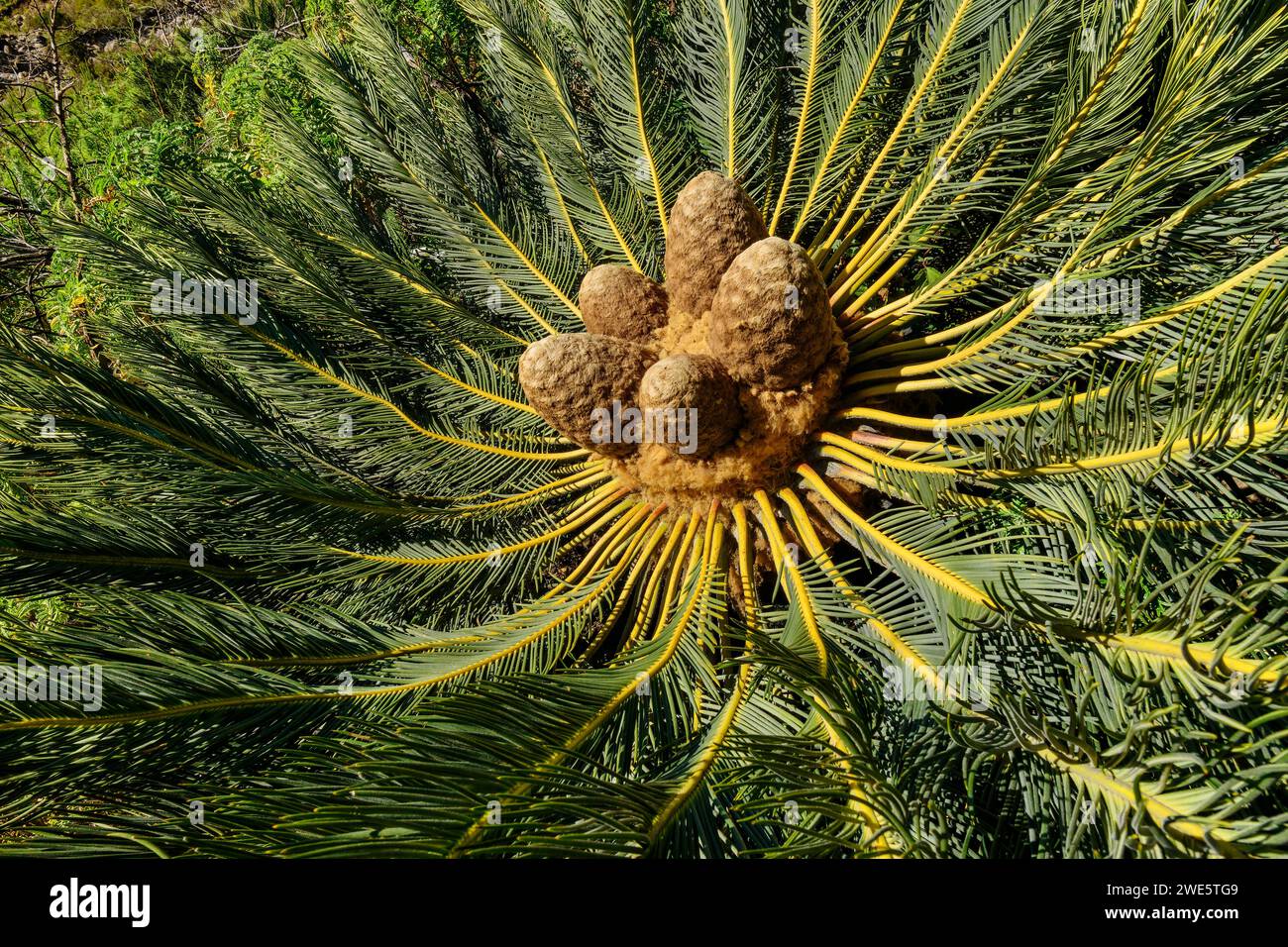 Didima holiday resort hi-res stock photography and images - Alamy