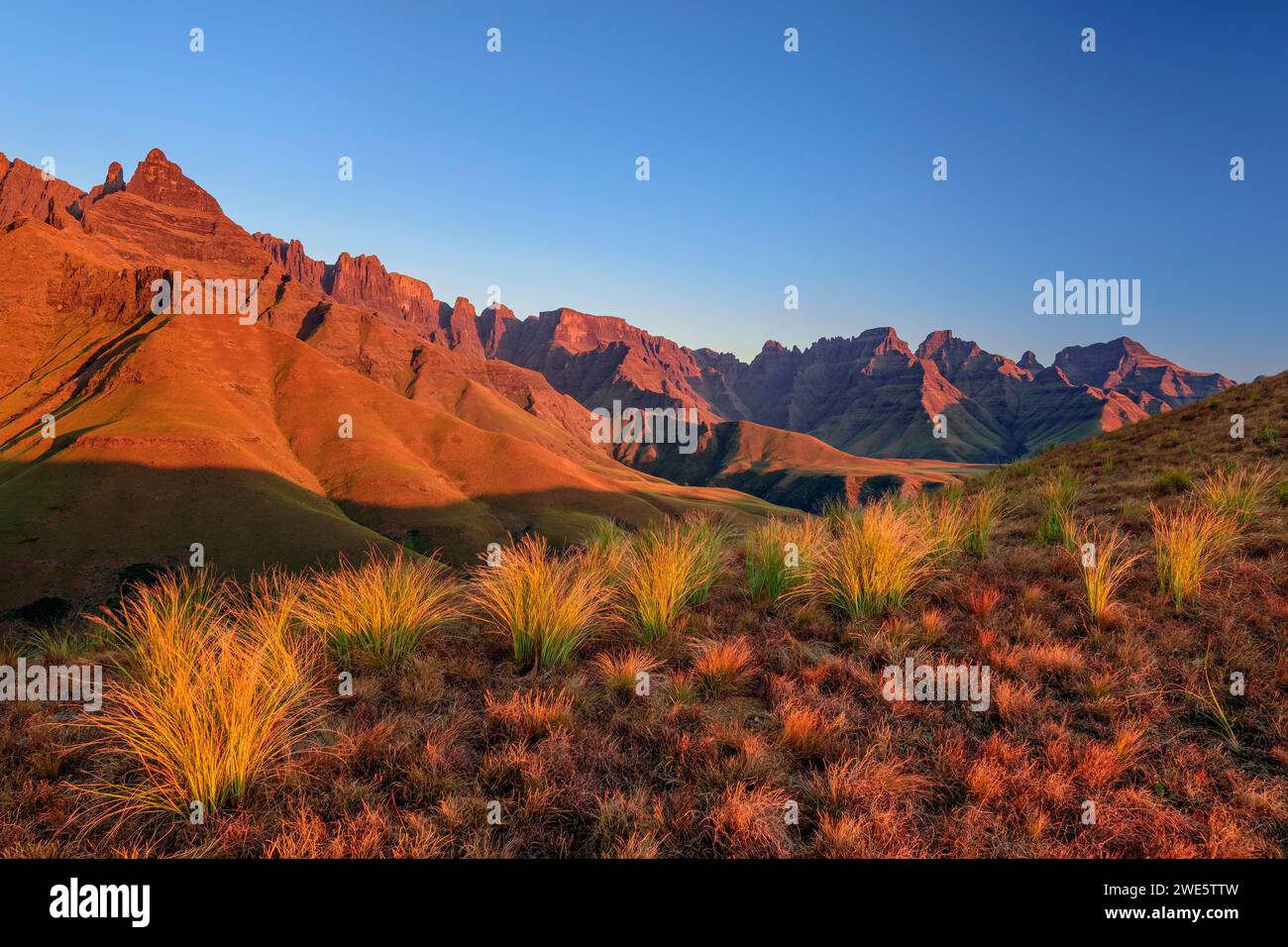 Alpenglow in the Drakensberg with The Pyramid, Organ Pipes Pass, Didima ...