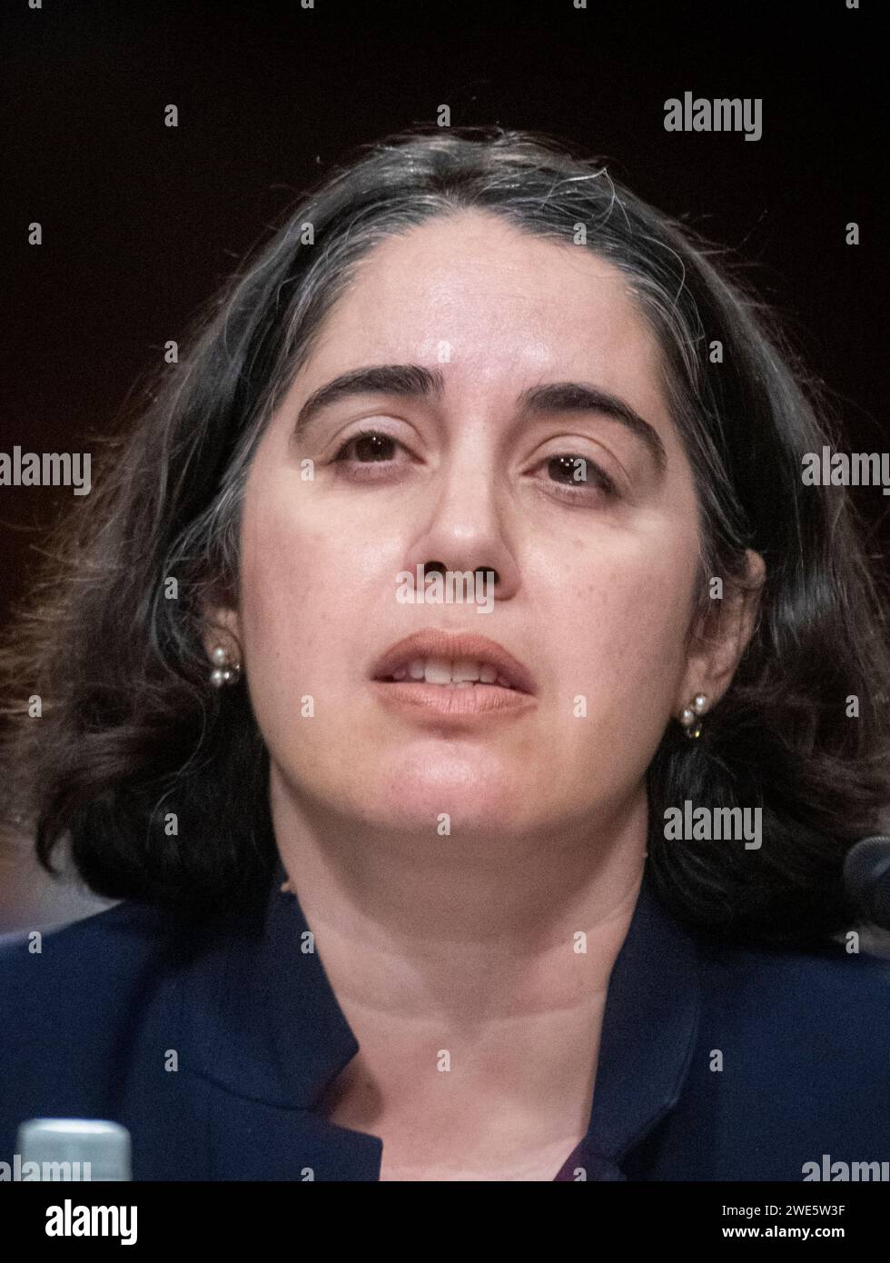 Melissa Griffin Dalton appears before a Senate Committee on Armed ...