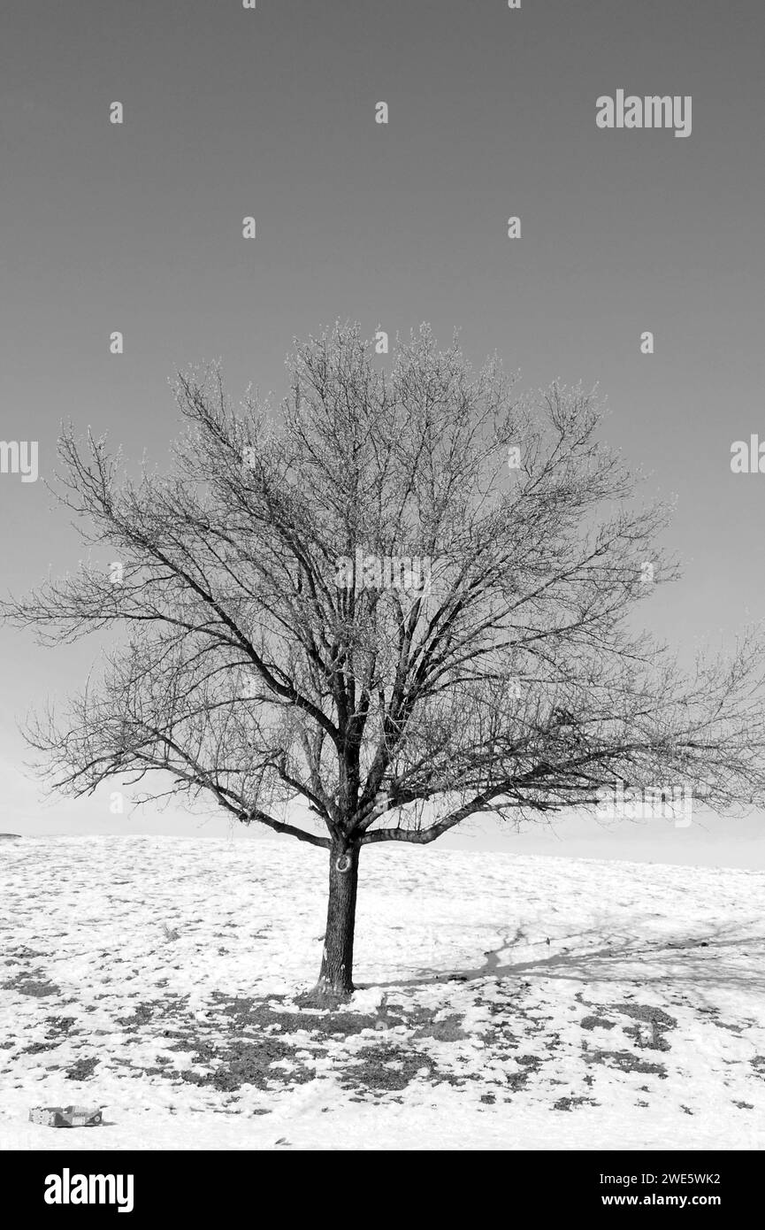 Winter has arrived hi-res stock photography and images - Alamy