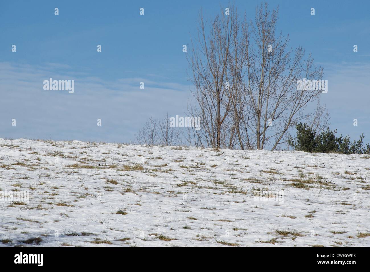 Winter has arrived hi-res stock photography and images - Alamy