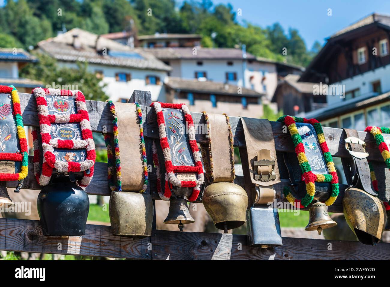 Cattle drive, cow bells, Truden, South Tyrol, Alto Adige, Italy Stock ...