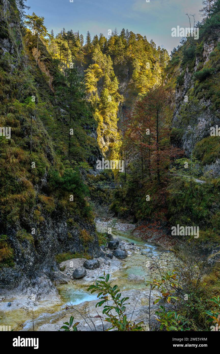 Hiking in the gorge, Almbach, Almbachlamm, gorge, canyon, gorge ...