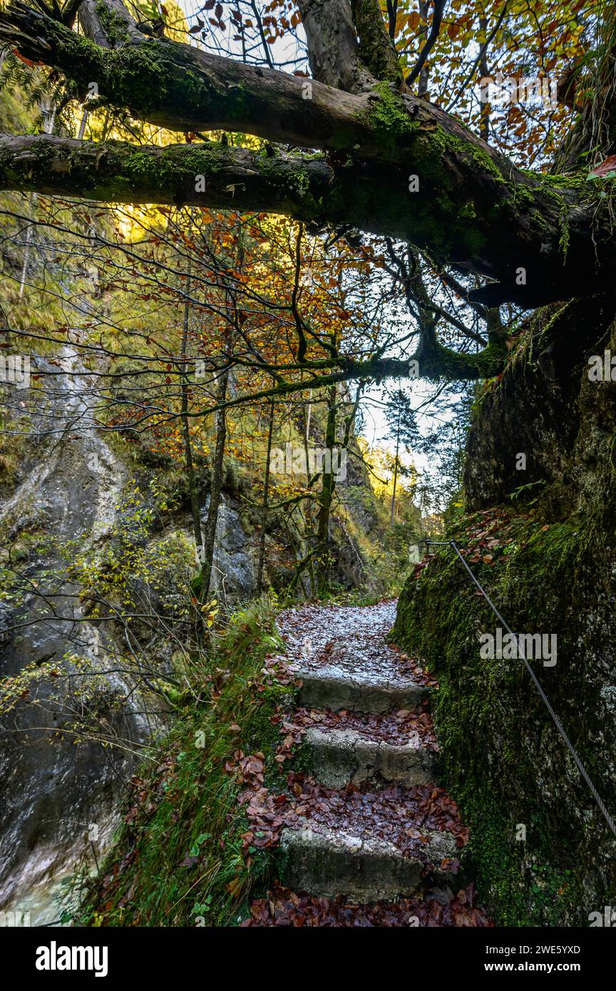 Hiking in the gorge, Almbach, Almbachlamm, gorge, canyon, gorge ...