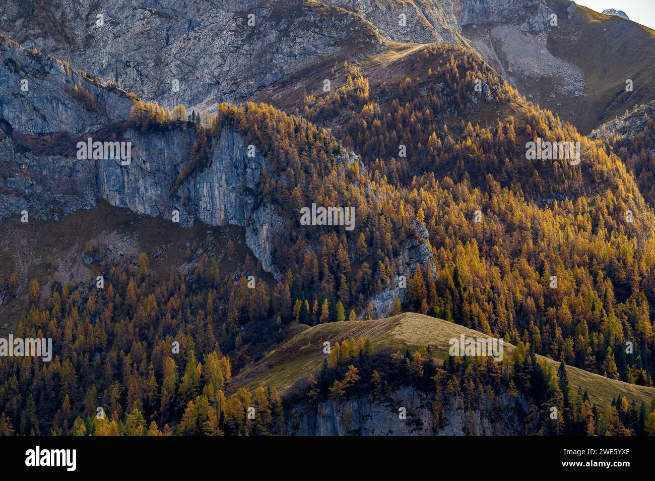 View from Jenner to mountains, hiking on Mount Jenner at Königssee in ...