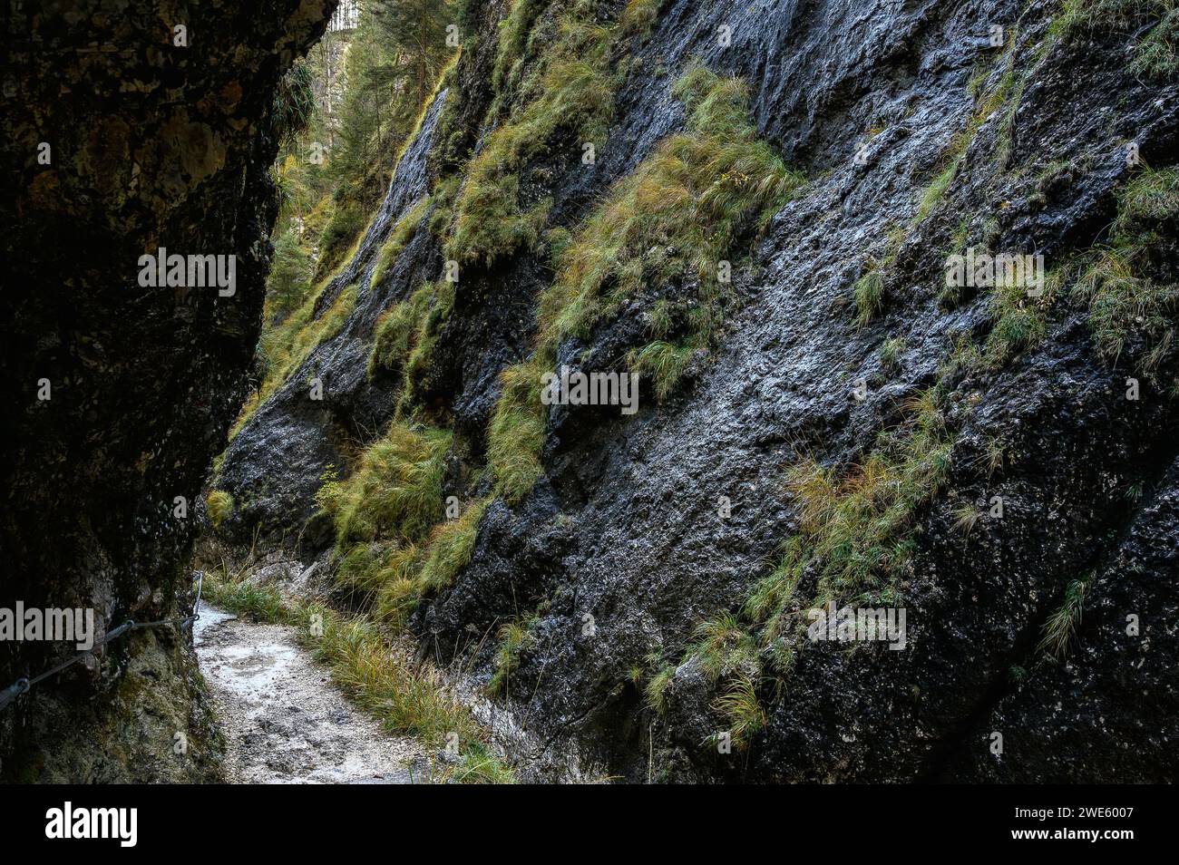 Hiking in the gorge, Almbach, Almbachlamm, gorge, canyon, gorge ...