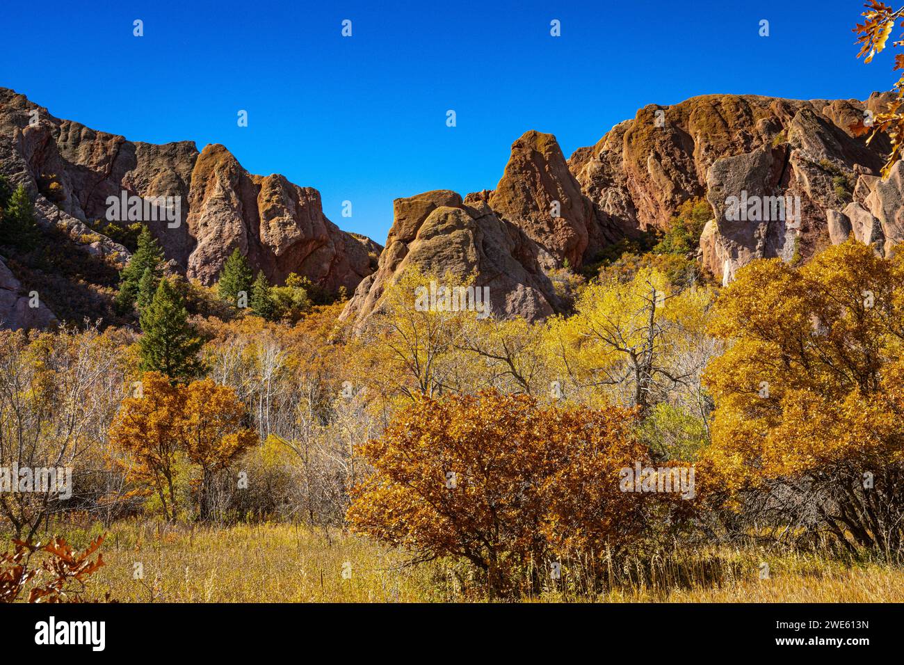 Autumn colors highlighted against the red rocks and blue sky in ...