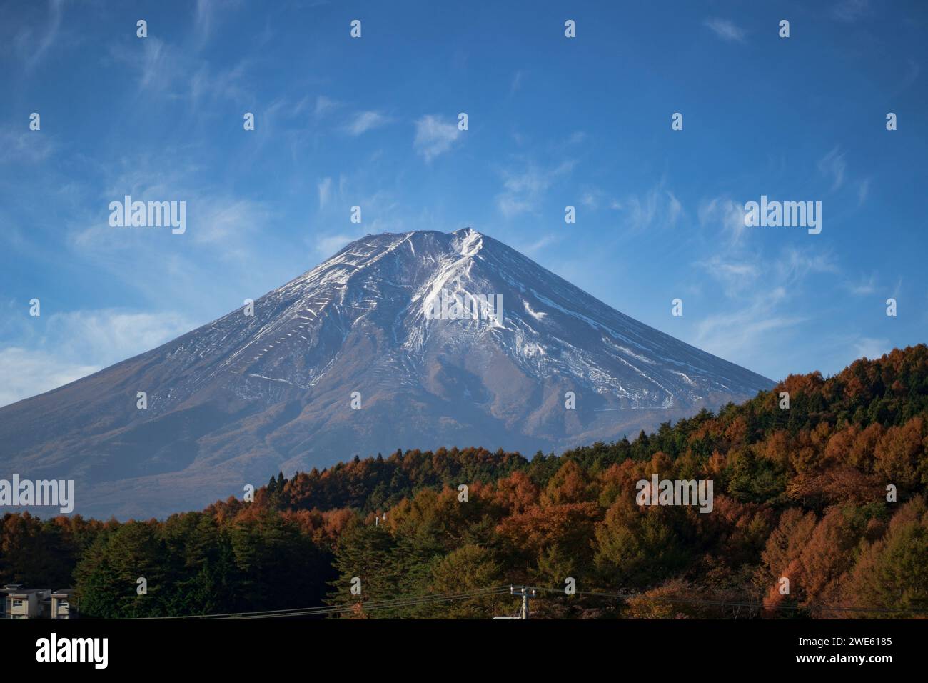 The Mount Fuji during the vibrant autumn season Stock Photo - Alamy