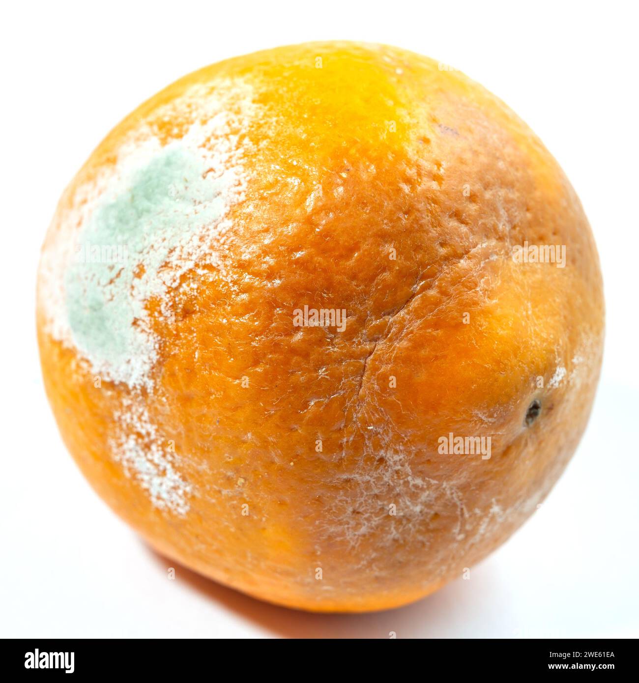 Moldy fruit hi-res stock photography and images - Alamy