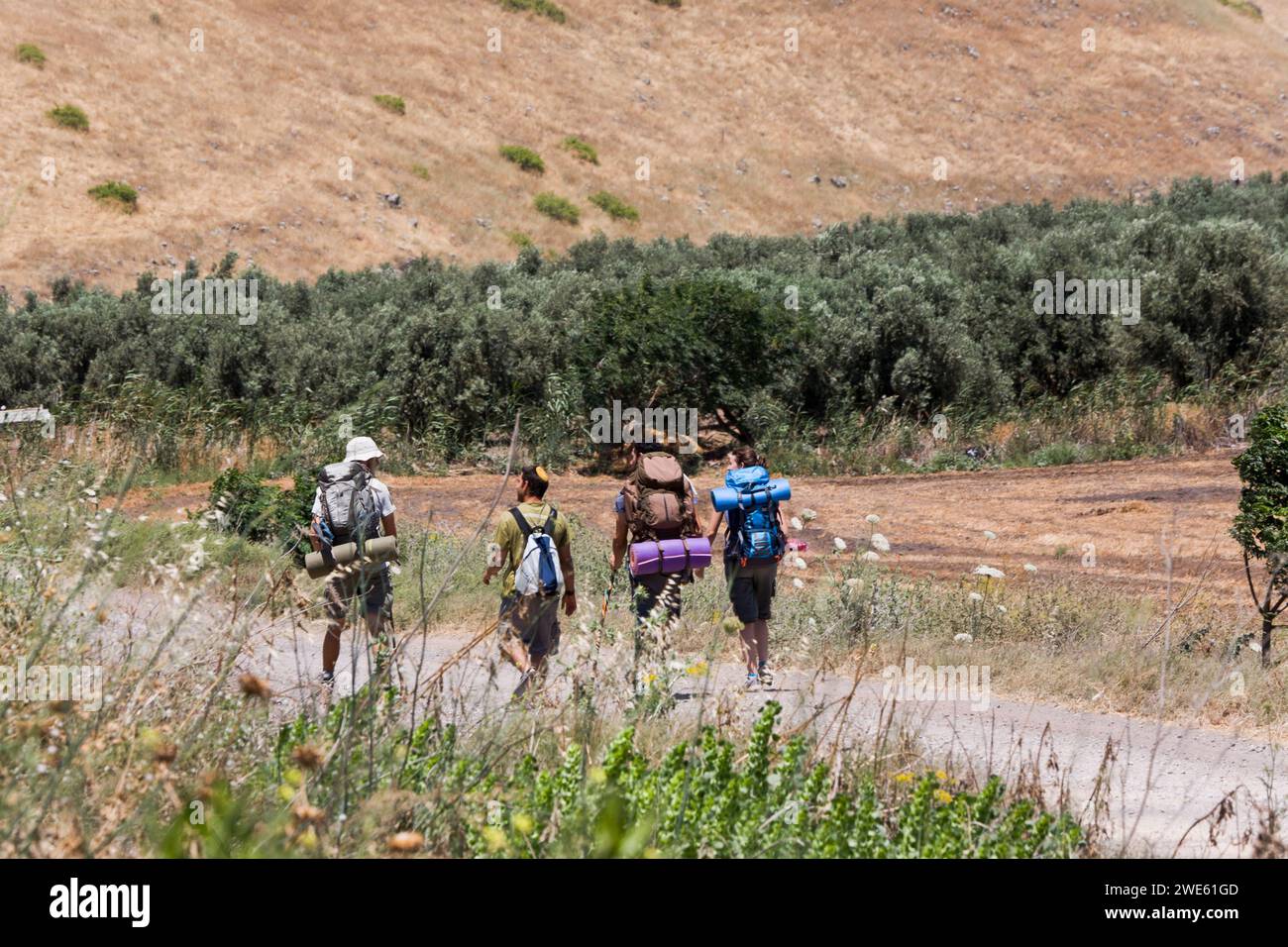 Pilgrims walking on road to Jesus Trail near Mount Arbel, Capernaum ...