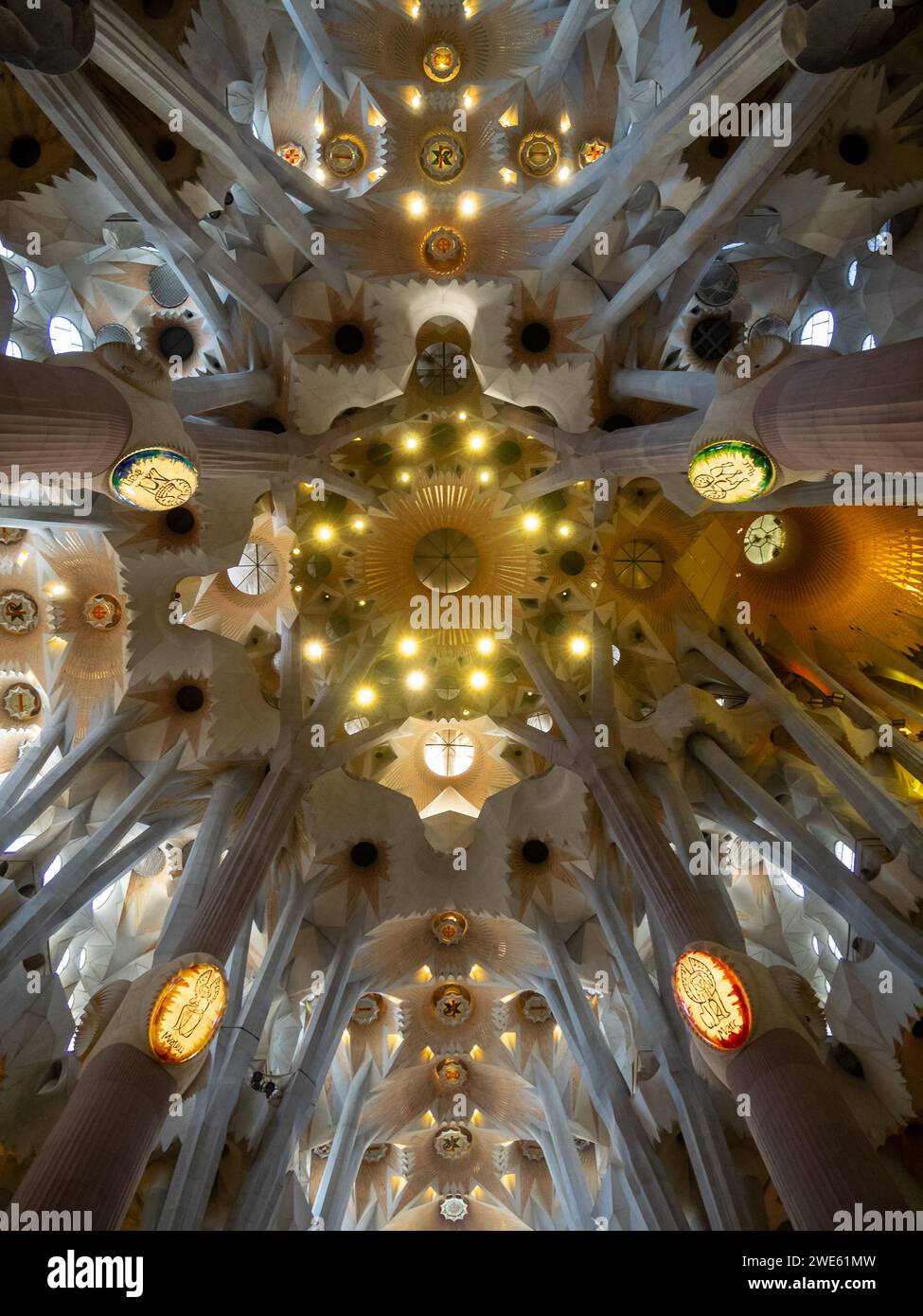 The organic forms of the columns and ceiling of Sagrada Familia ...