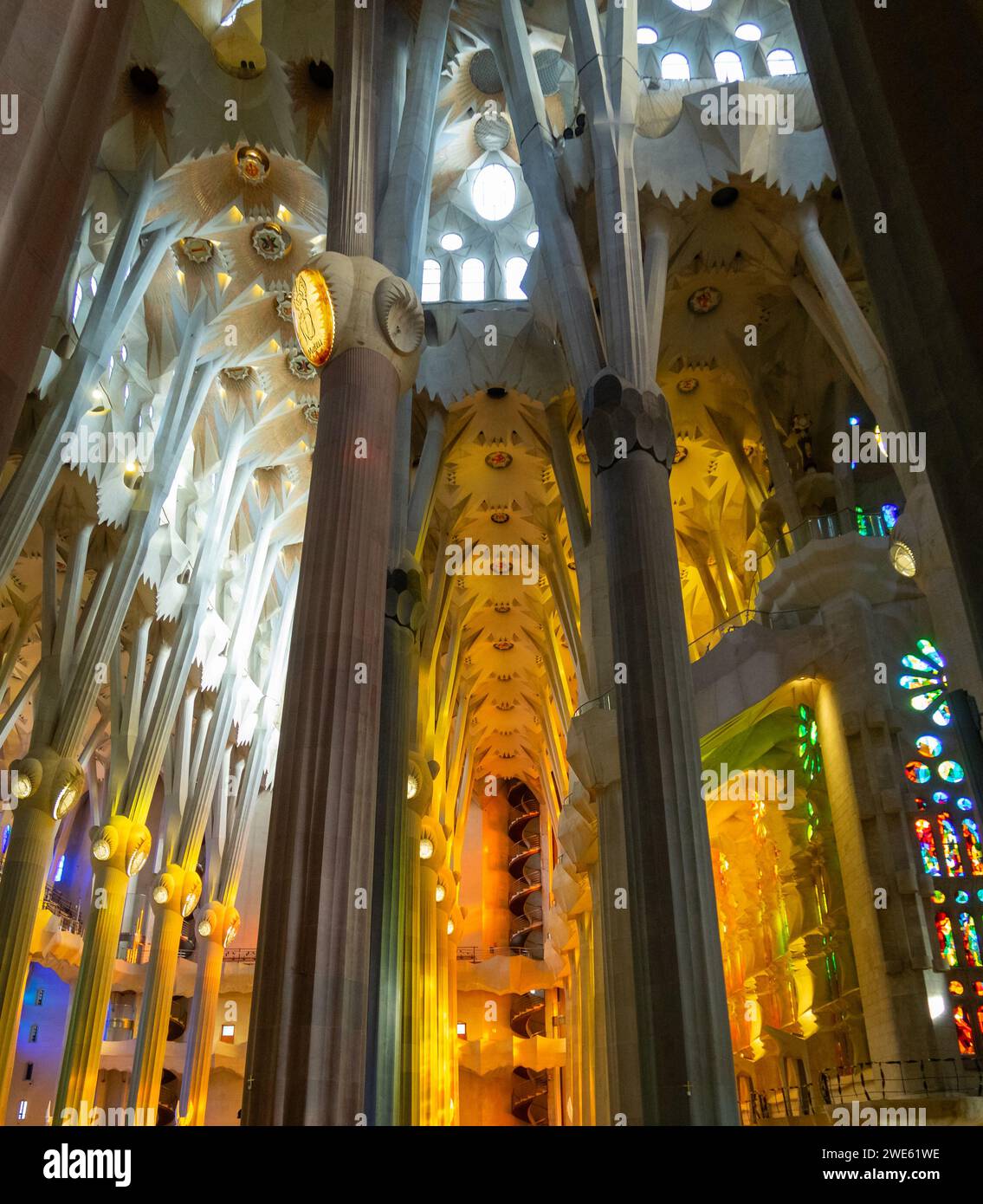 Colorful light illuminating the interior of the Sagrada Familia ...